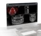 QuickVision - Dental Practice Management & Imaging Software